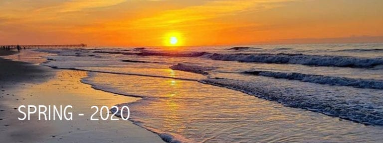 10 Top Activities for the Whole Family During Your Spring Myrtle Beach ...