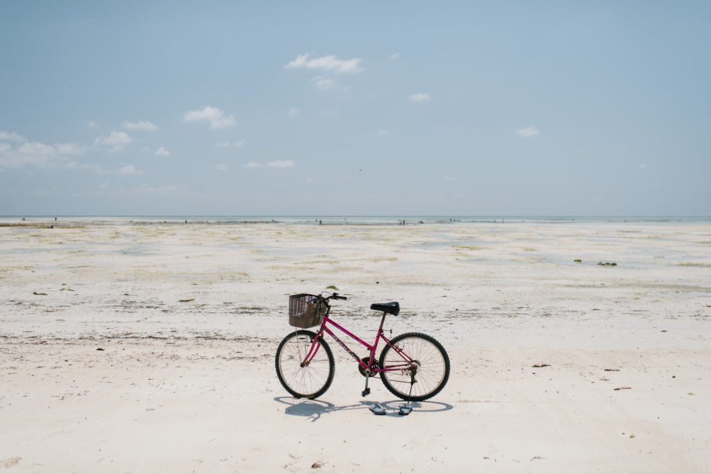 7 Best Bike Paths to Ride in Myrtle Beach - Ocean Reef Myrtle Beach Resort