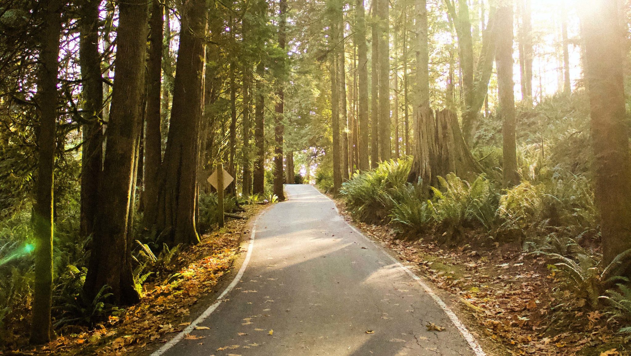 7 Best Bike Paths to Ride in Myrtle Beach - Ocean Reef Myrtle Beach Resort